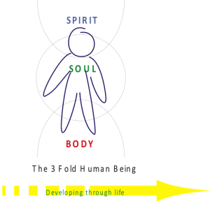 Our Special Character - Hōhepa Auckland